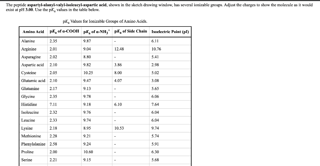 Solved The peptide aspartyl-alanyl-valyl-isoleucyl-aspartic | Chegg.com