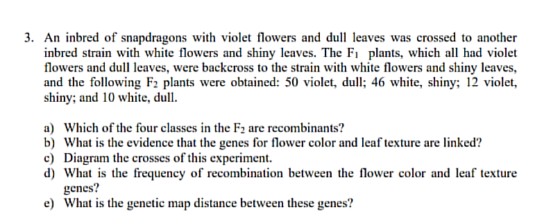 Solved An inbred of snapdragons with violet flowers and dull | Chegg.com