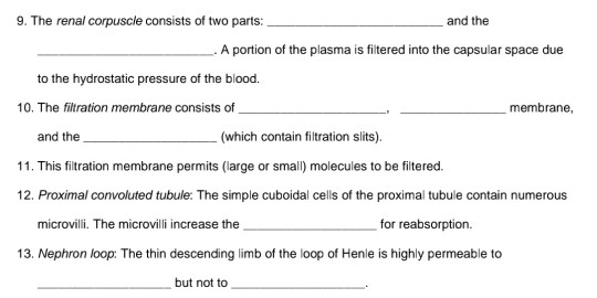 Solved 9. The renal corpuscle consists of two parts: and the | Chegg.com