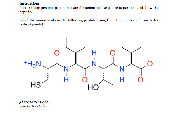 Solved Instructions: peptide. Label the amino acids in the | Chegg.com