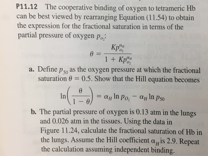 Solved P11 12 The Cooperative Binding Of Oxygen To