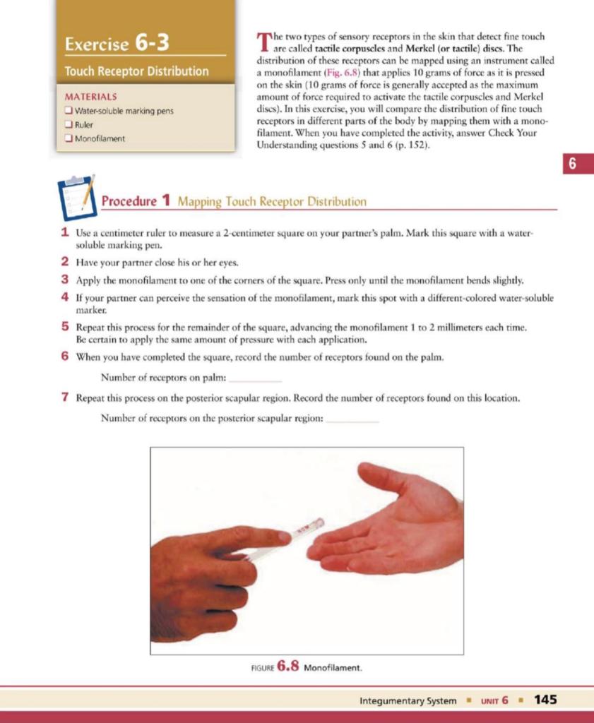 Solved Exercise 6-3 Touch Receptor Distribution he two types | Chegg.com