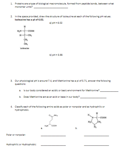 1. Proteins are a type of biological macromolecule, | Chegg.com