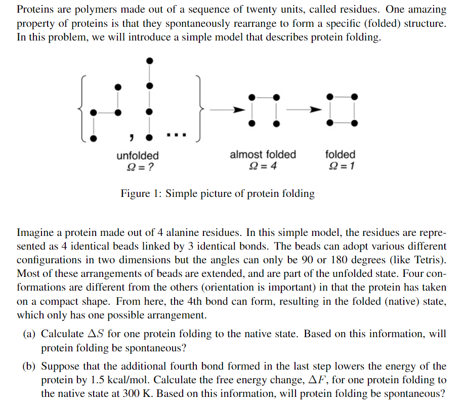 Solved Proteins are polymers made out of a sequence of | Chegg.com