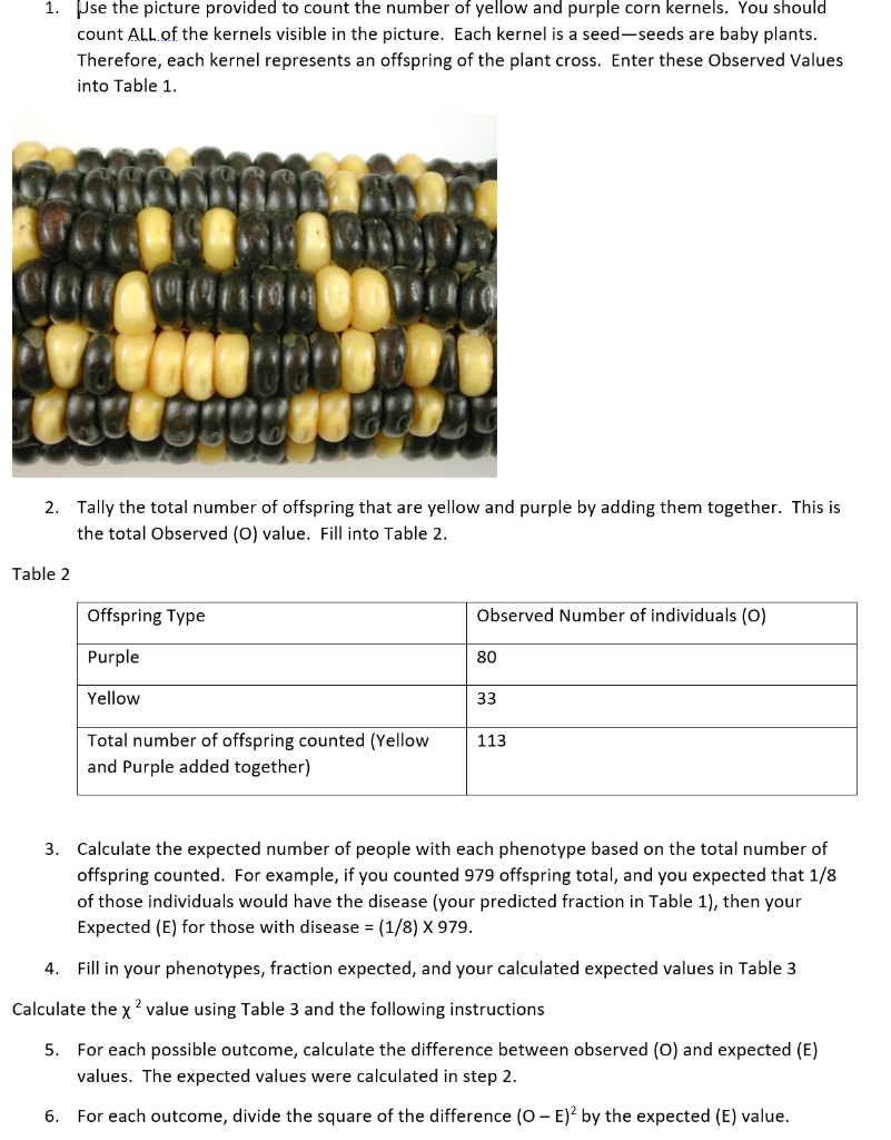 Solved 1. Use the picture provided to count the number of | Chegg.com