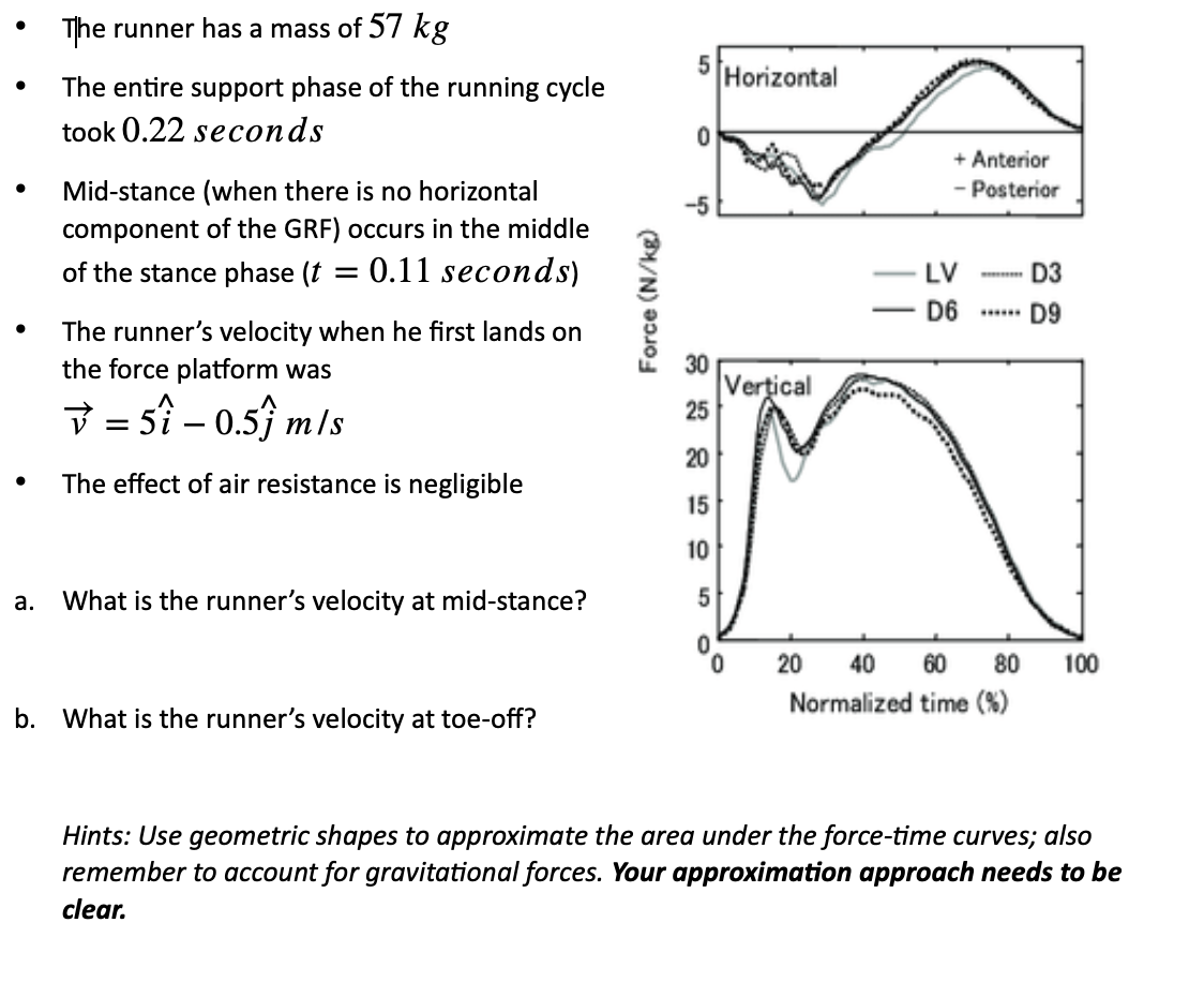 - The runner has a mass of 57kg - The entire support | Chegg.com