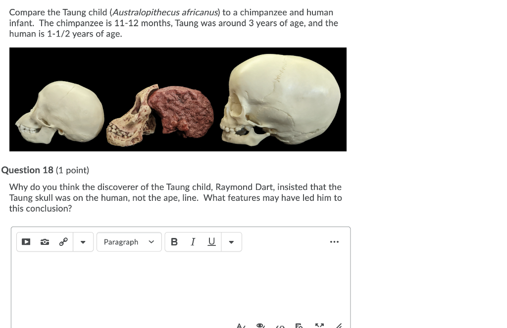 Solved Question 12 (1 point) Of the non-robust | Chegg.com