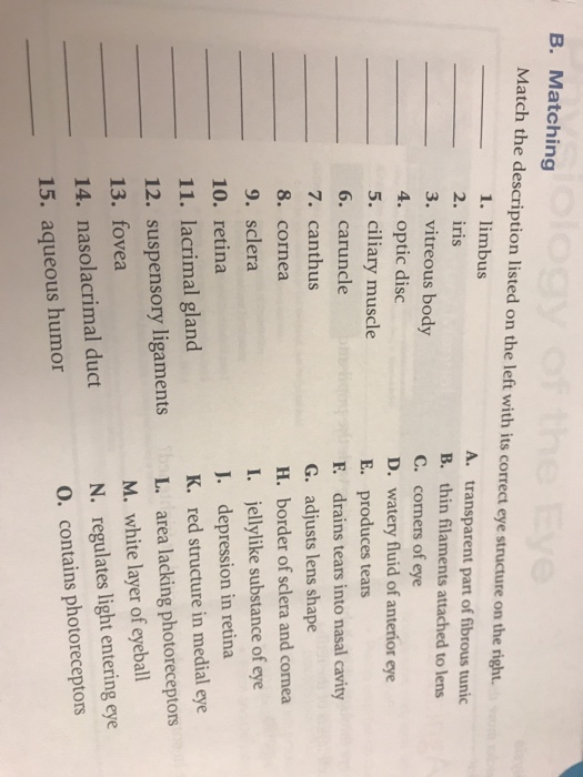 Solved B. Matching Match the description listed on the left | Chegg.com