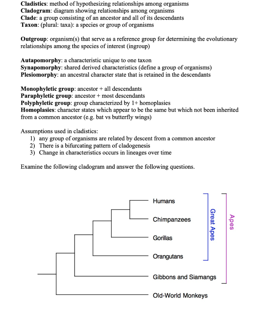 Solved Cladistics: method of hypothesizing relationships | Chegg.com