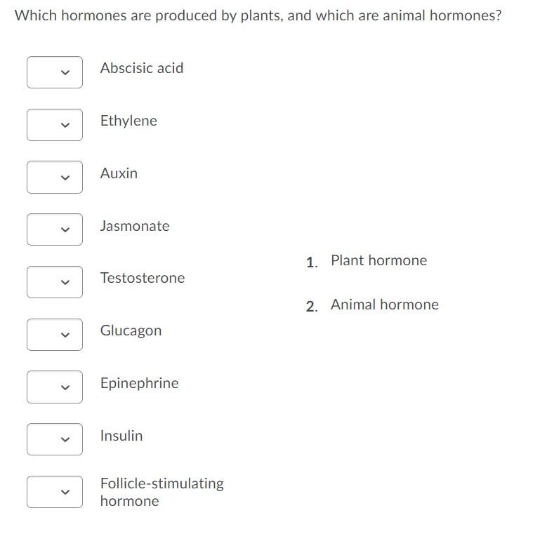 Solved Match the animals with the phylum they're classified | Chegg.com