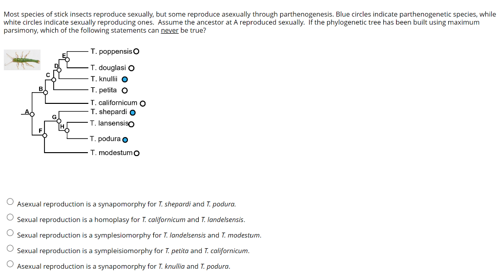 Solved Most species of stick insects reproduce sexually, but | Chegg.com