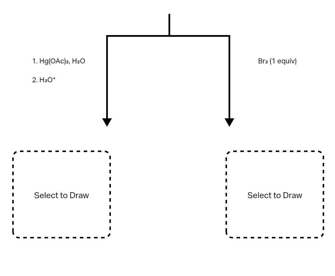 Solved Draw the starting structure that would lead to this | Chegg.com