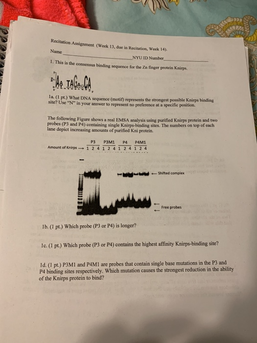 Solved Recitation Assignment (Week 13, due in Recitation, | Chegg.com