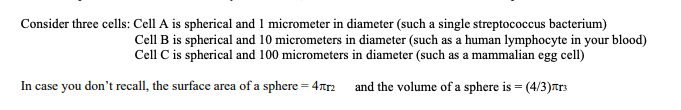 Solved Consider three cells: Cell A is spherical and 1 | Chegg.com