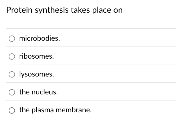 Solved Protein synthesis takes place | Chegg.com