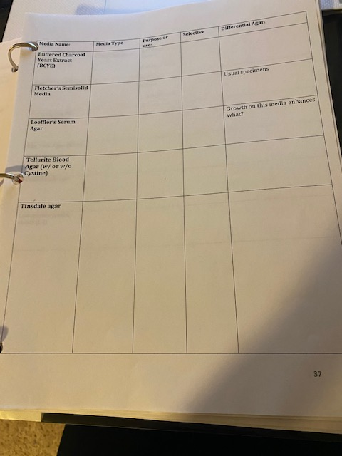 Media Names Media Type and Lab Session 1: Culture | Chegg.com