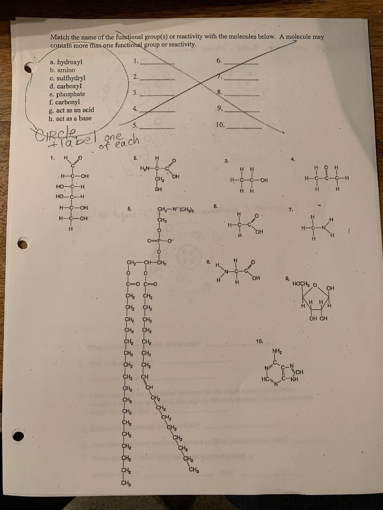 Solved Match the name of the functional group(s) or | Chegg.com