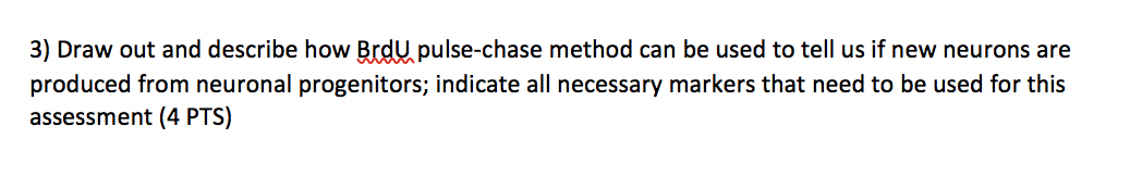 Solved 3) Draw out and describe how Brdu pulse-chase method | Chegg.com