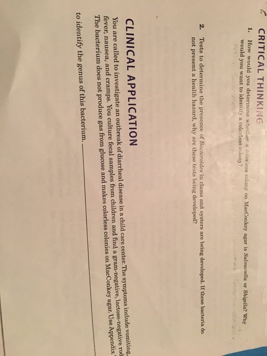 Solved How would you determine whether a colorless colony on | Chegg.com