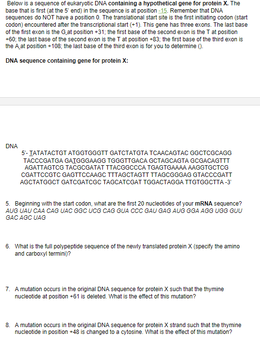 Solved Below is a sequence of eukaryotic DNA containing a | Chegg.com