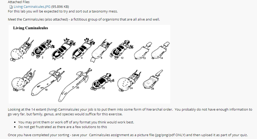Can I have help? My professor listed the caminalcules | Chegg.com