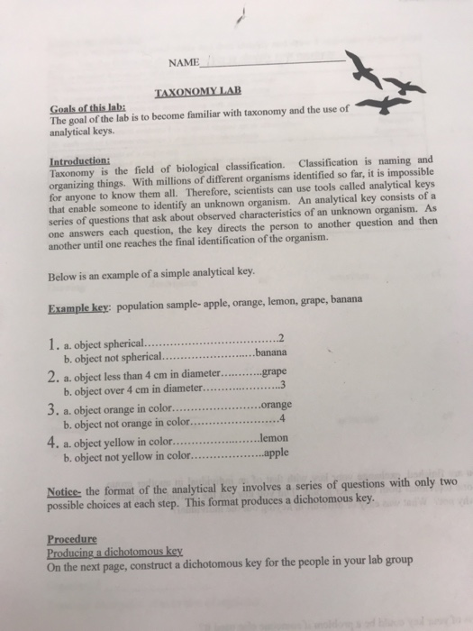 Solved: NAME Goals Of This Lab: The Goal Of The Lab Is To ... | Chegg.com