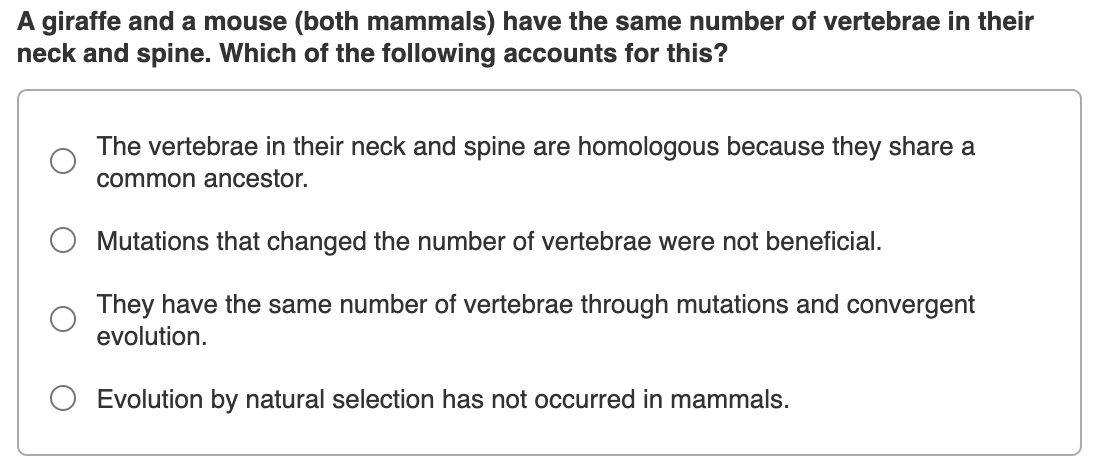 Solved A giraffe and a mouse (both mammals) ﻿have the same | Chegg.com