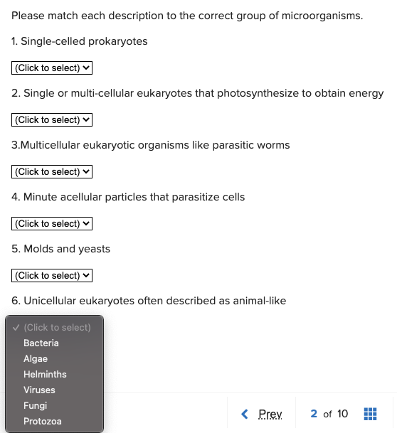 Solved Please match each description to the correct group of | Chegg.com