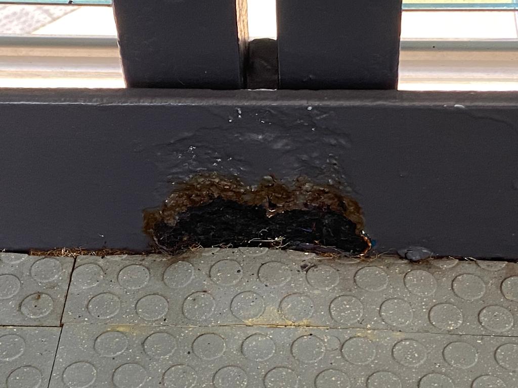 Solved The picture shows the corrosion of the platform on | Chegg.com