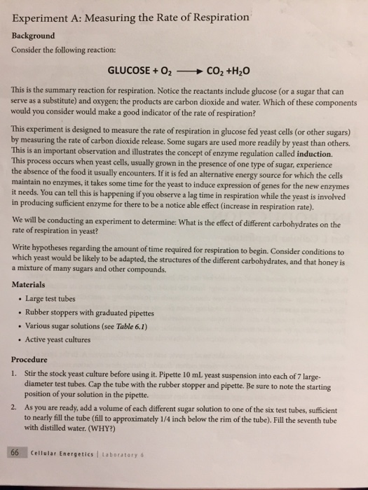 Solved Experiment A: Measuring the Rate of Respiration | Chegg.com
