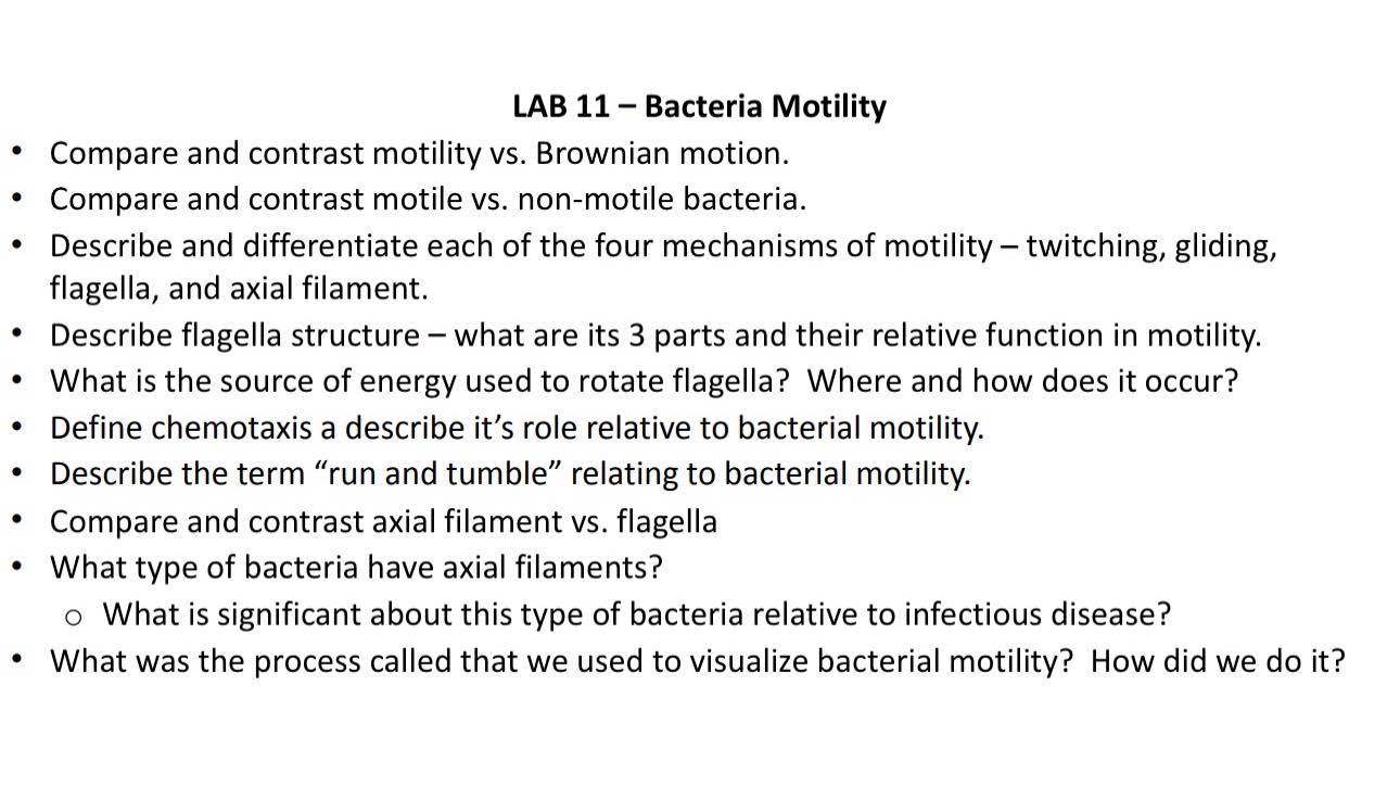 Solved LAB 11 - Bacteria Motility - Compare and contrast | Chegg.com