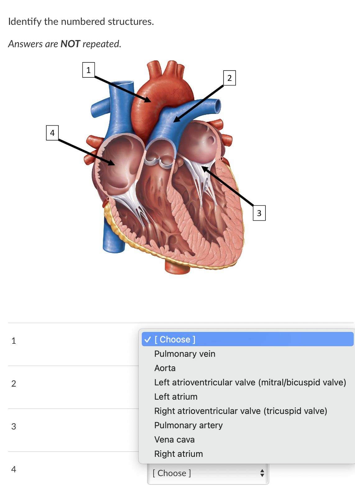 Solved Identify the numbered structures. Answers are NOT | Chegg.com