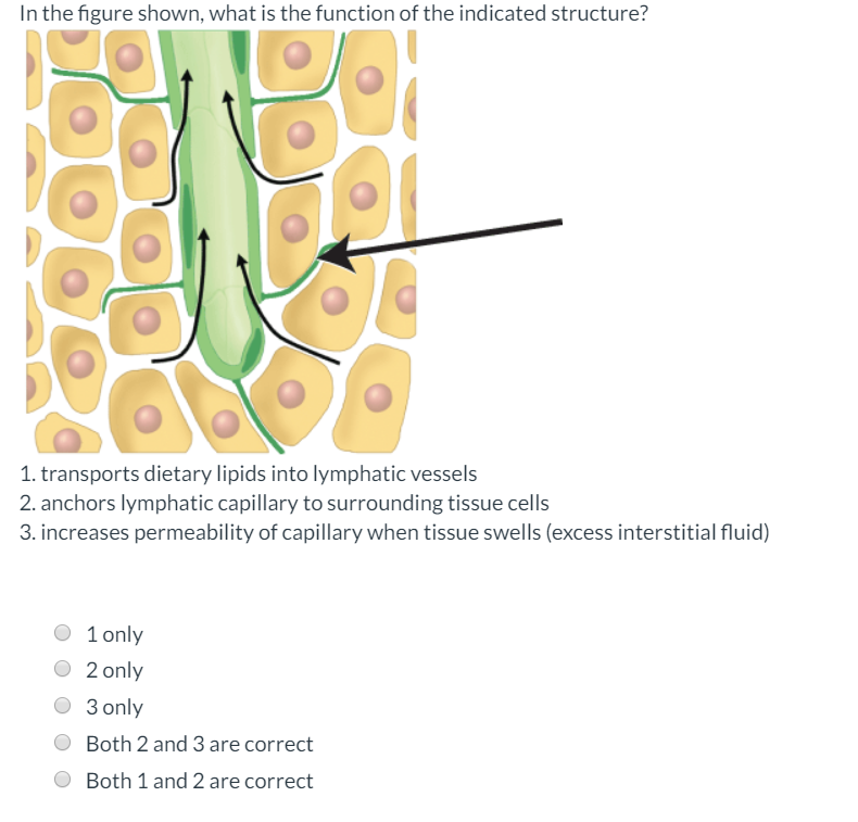Solved In the figure shown, what is the function of the | Chegg.com
