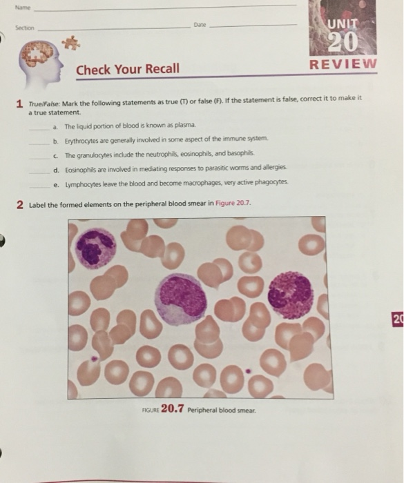 Solved Name UNIT 20 Date Section REVIEW Check Your Recall 1 | Chegg.com
