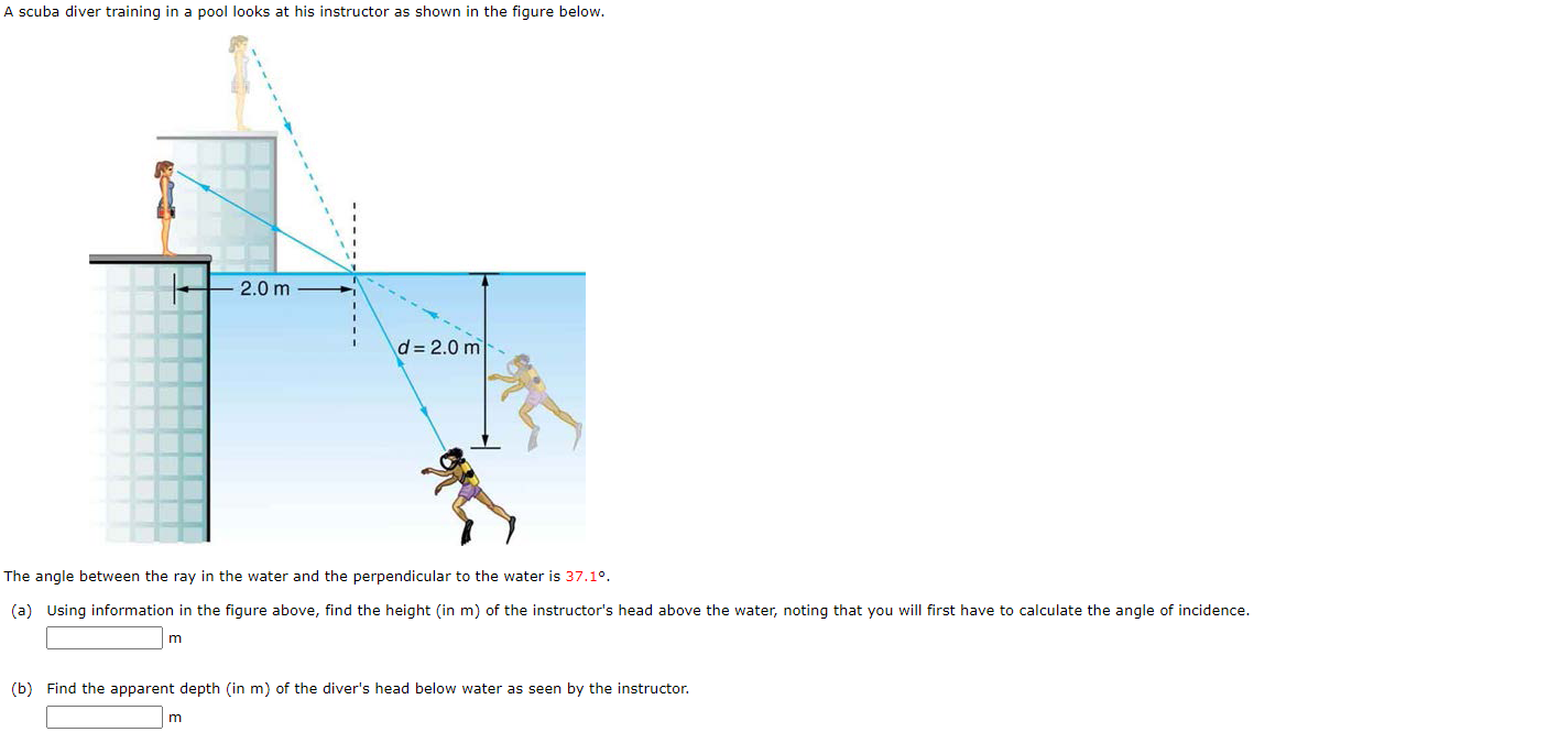 Solved A scuba diver training in a pool looks at his | Chegg.com