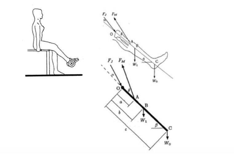 Solved The shown diagram illustrates the forces acting at | Chegg.com