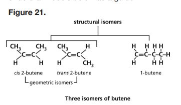 :Construct molecular models of each of the three | Chegg.com