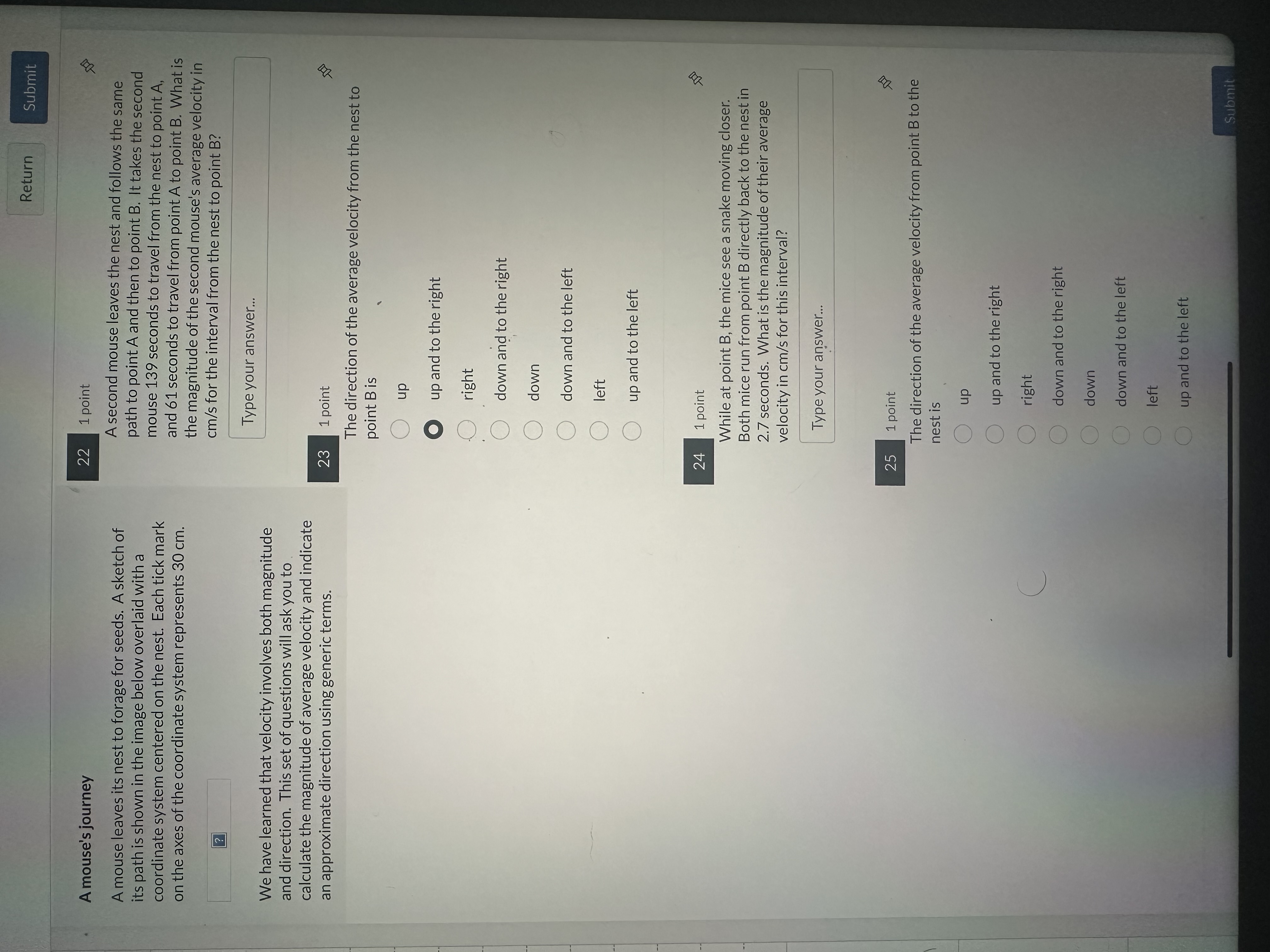 A mouse's journey A mouse leaves its nest to forage | Chegg.com