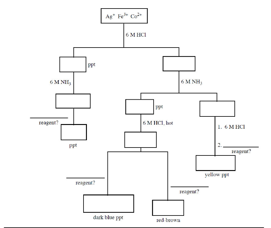 Solved Complete the flow chart [Note: ppt = precipitate] A | Chegg.com