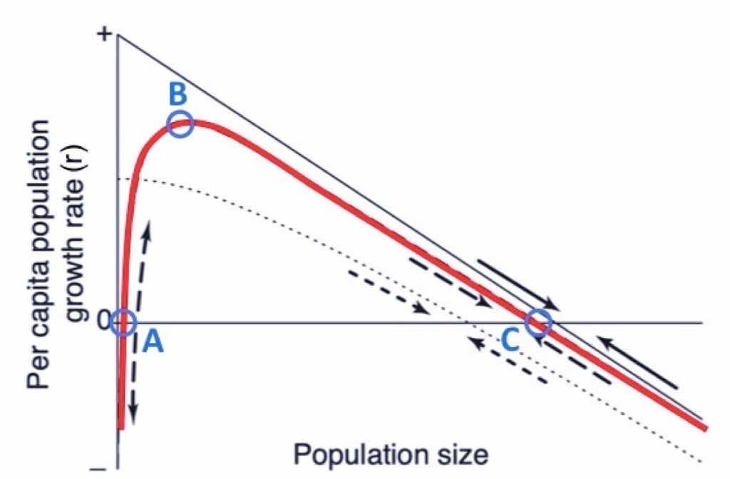 This is an example of Density Dependence on | Chegg.com