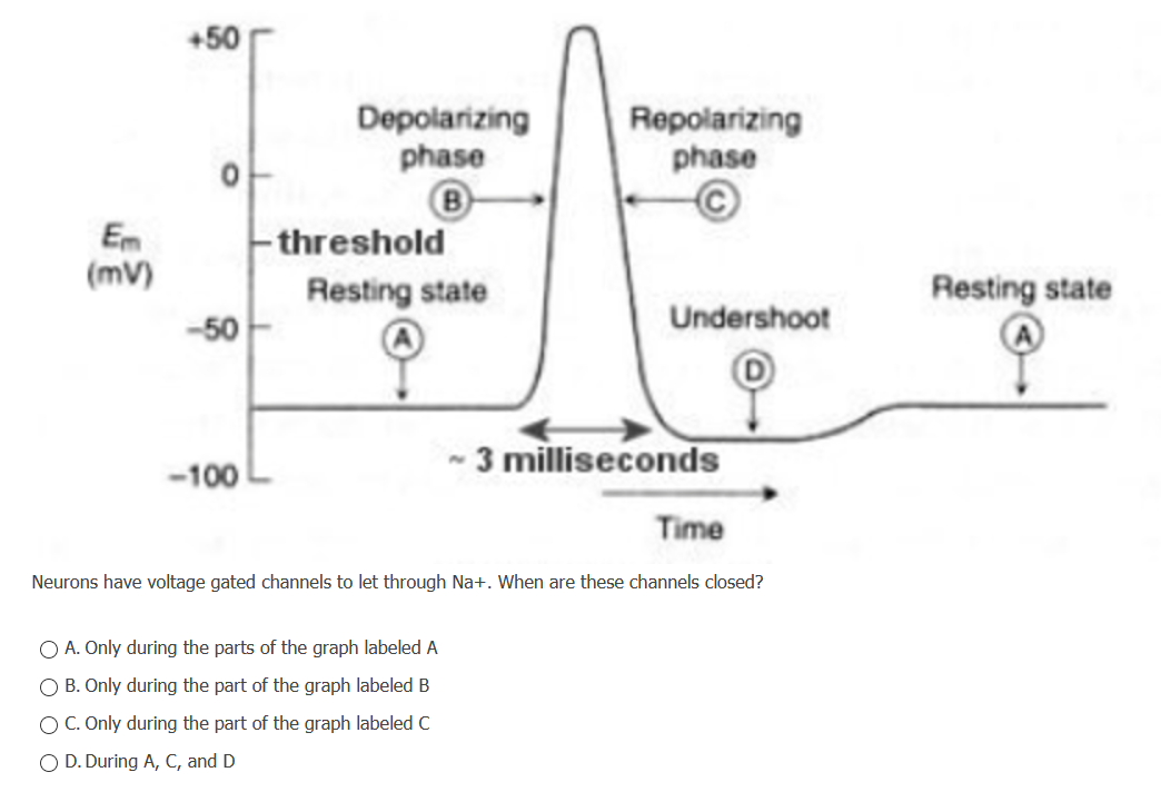 Solved +50 Depolarizing phase B -threshold Resting state | Chegg.com