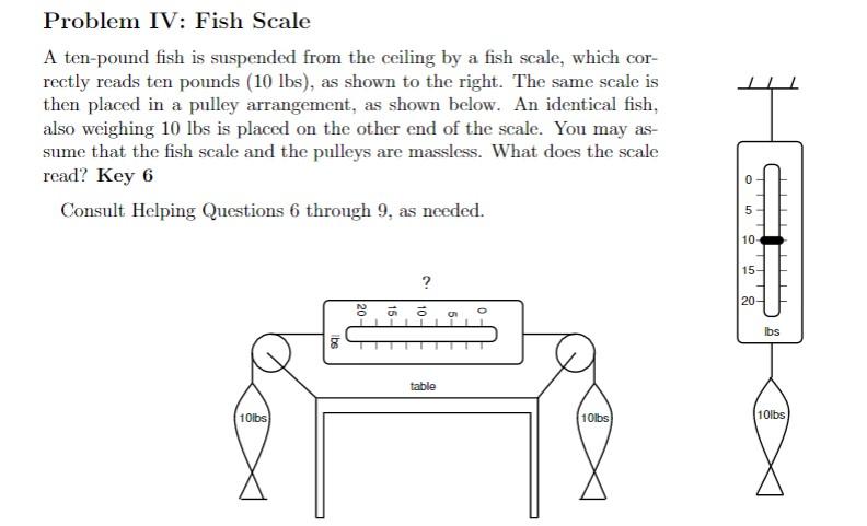 Solved Problem IV: Fish Scale A ten-pound fish is suspended | Chegg.com