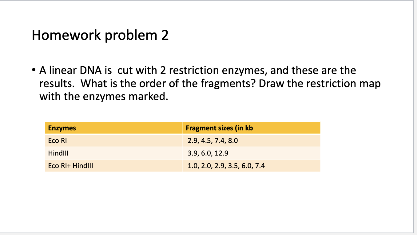 Solved Homework problem 2- ﻿A linear DNA is cut with 2 | Chegg.com