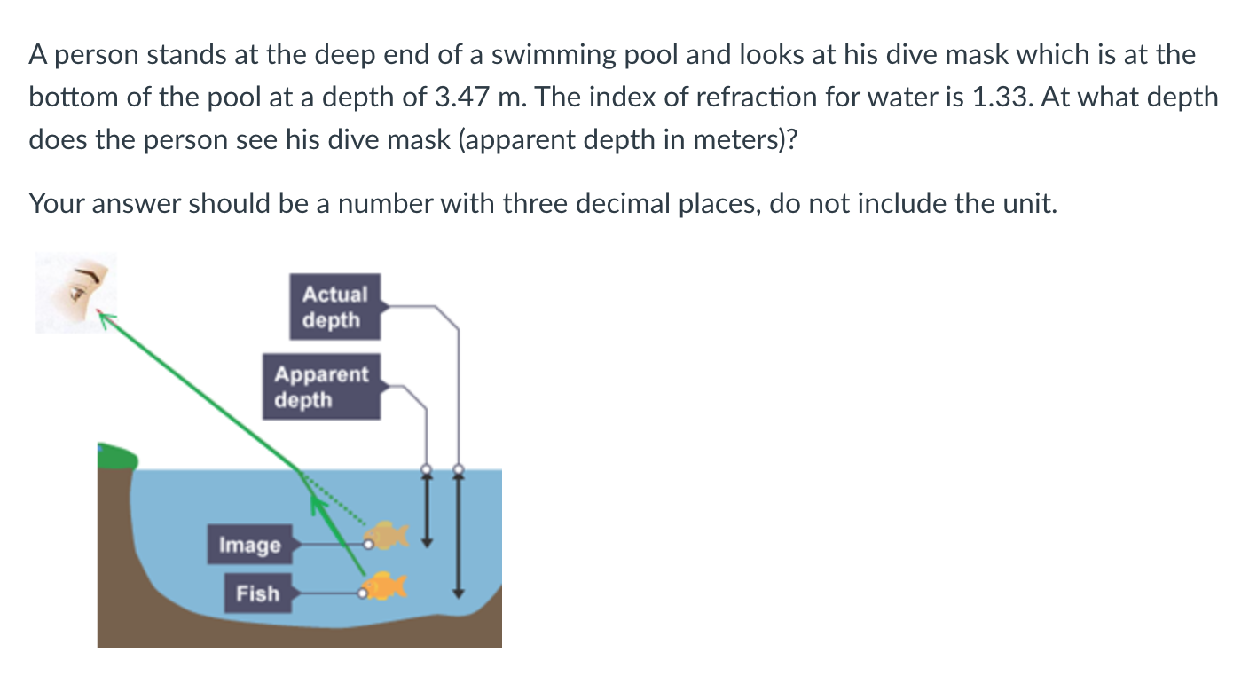 Solved A person stands at the deep end of a swimming pool | Chegg.com