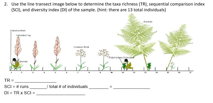 Solved 2. Use the line transect image below to determine the | Chegg.com