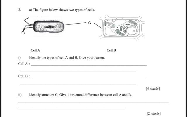 a) The figure below shows two types of cells. Cell A | Chegg.com