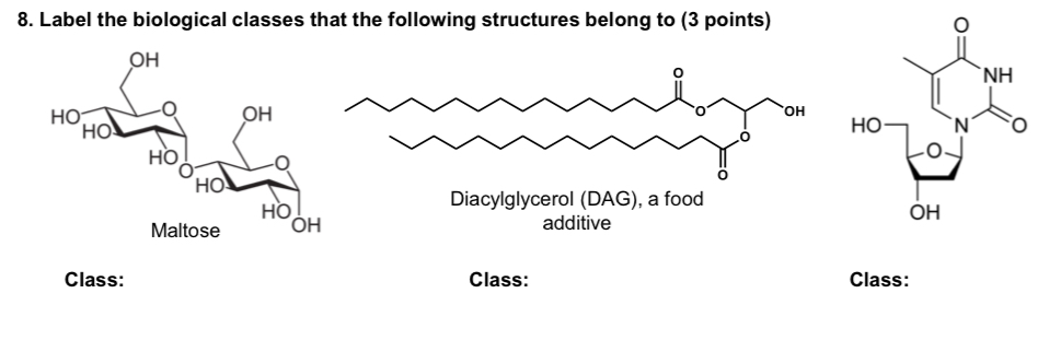 Solved Label the biological classes that the following | Chegg.com
