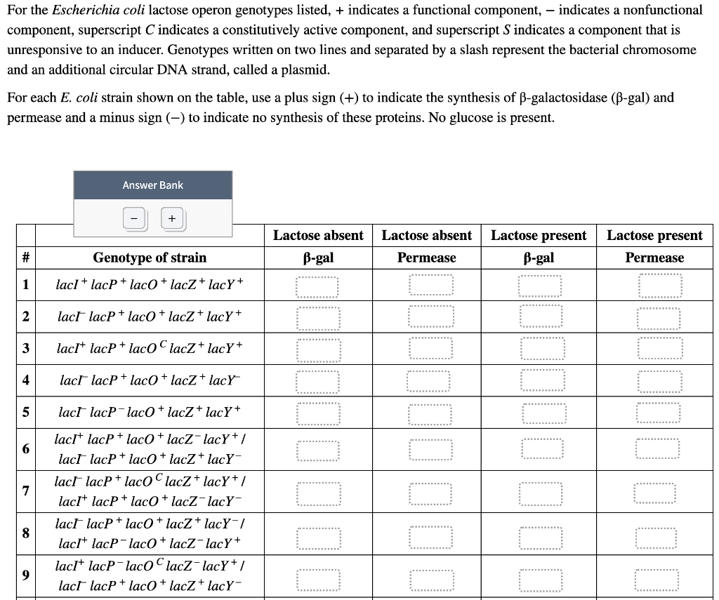 Solved For the Escherichia coli lactose operon genotypes | Chegg.com