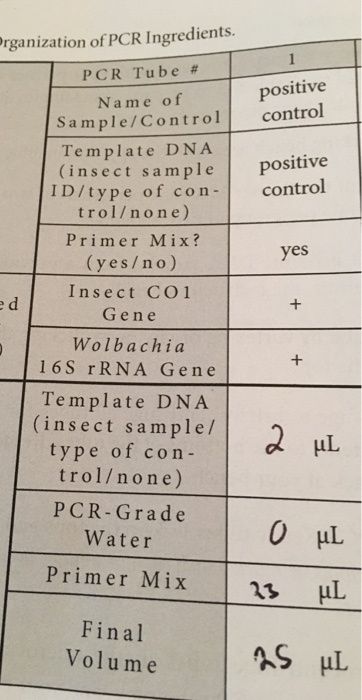 Solved uestion 22 (4 pointS) Describe what would happen if | Chegg.com