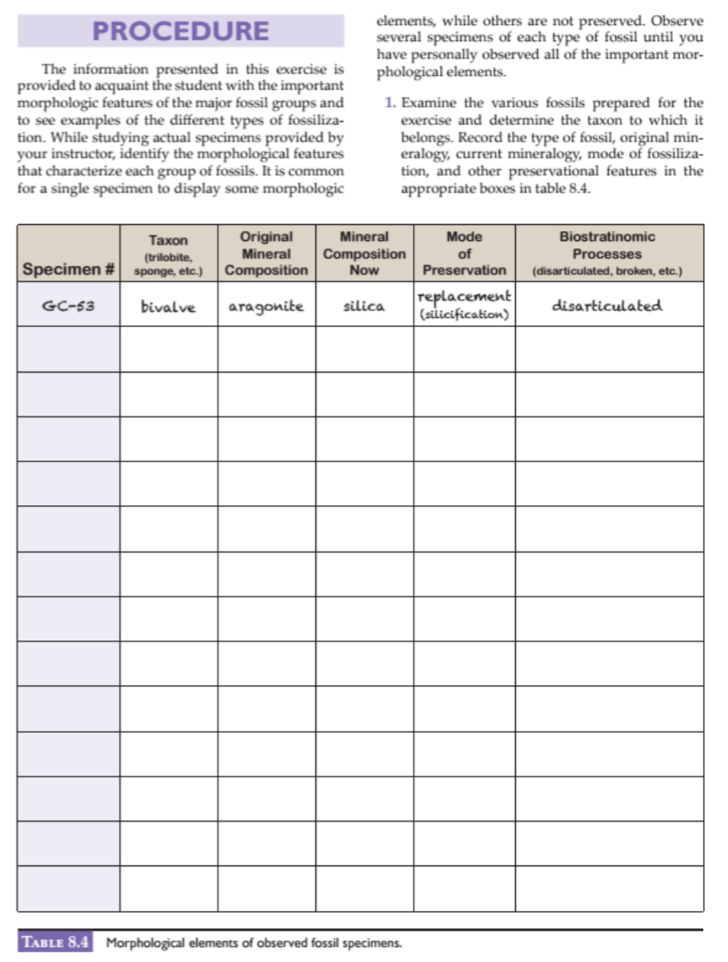 Solved PROCEDUREThe information presented in this exercise | Chegg.com
